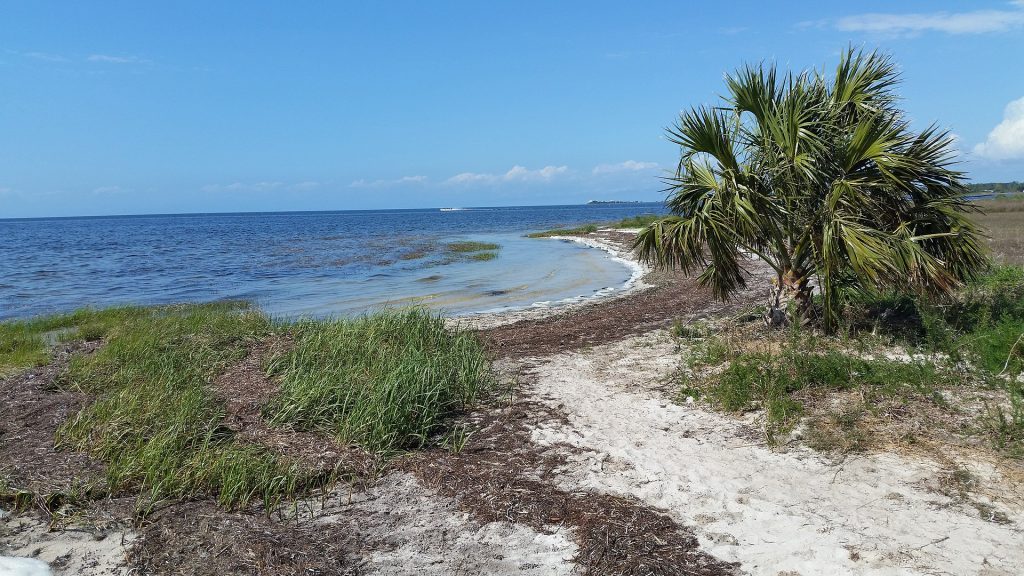 Keaton Beach – Taylor Florida
